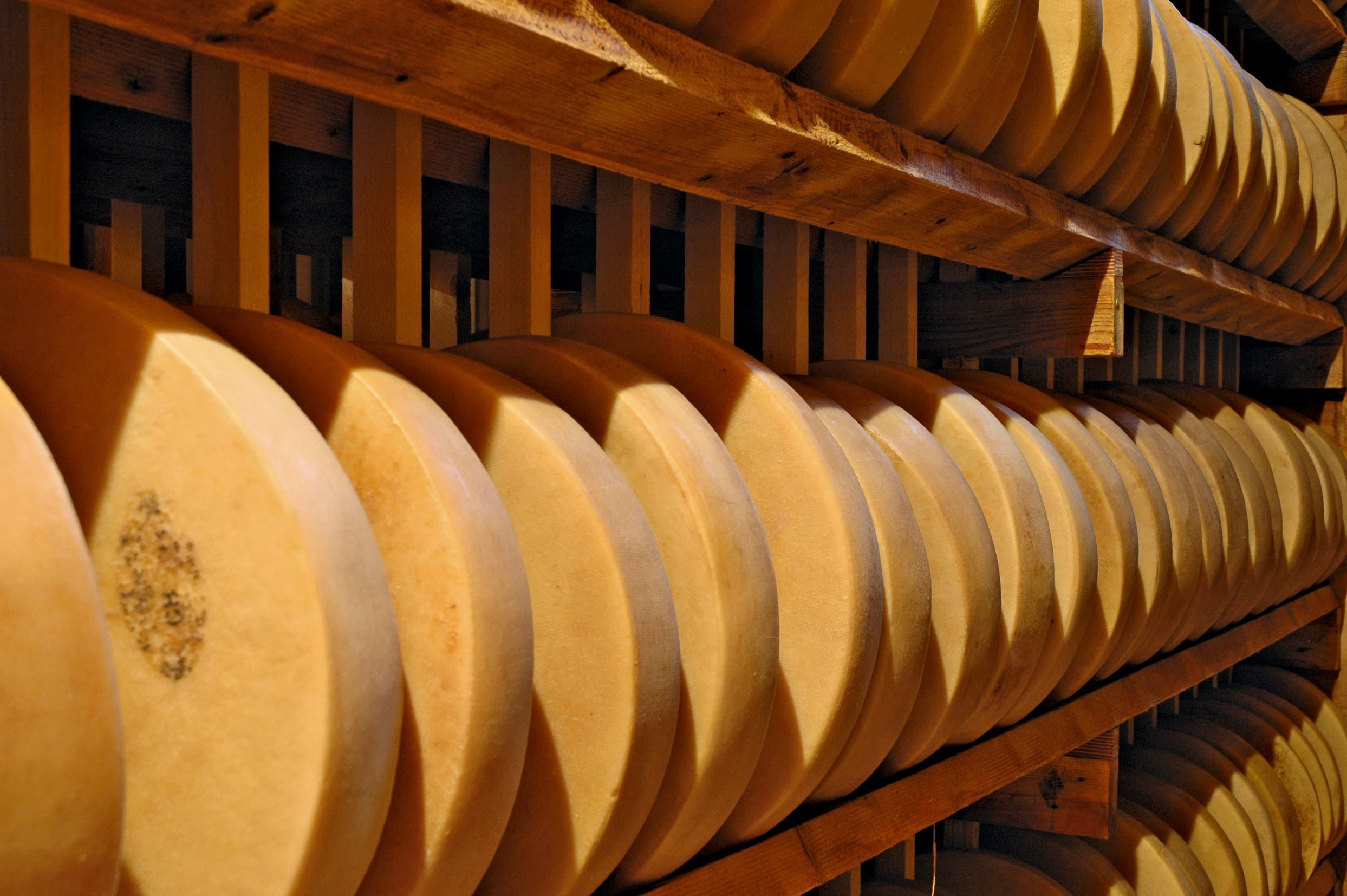What a cheese – l'Etivaz AOP | Switzerland Tourism