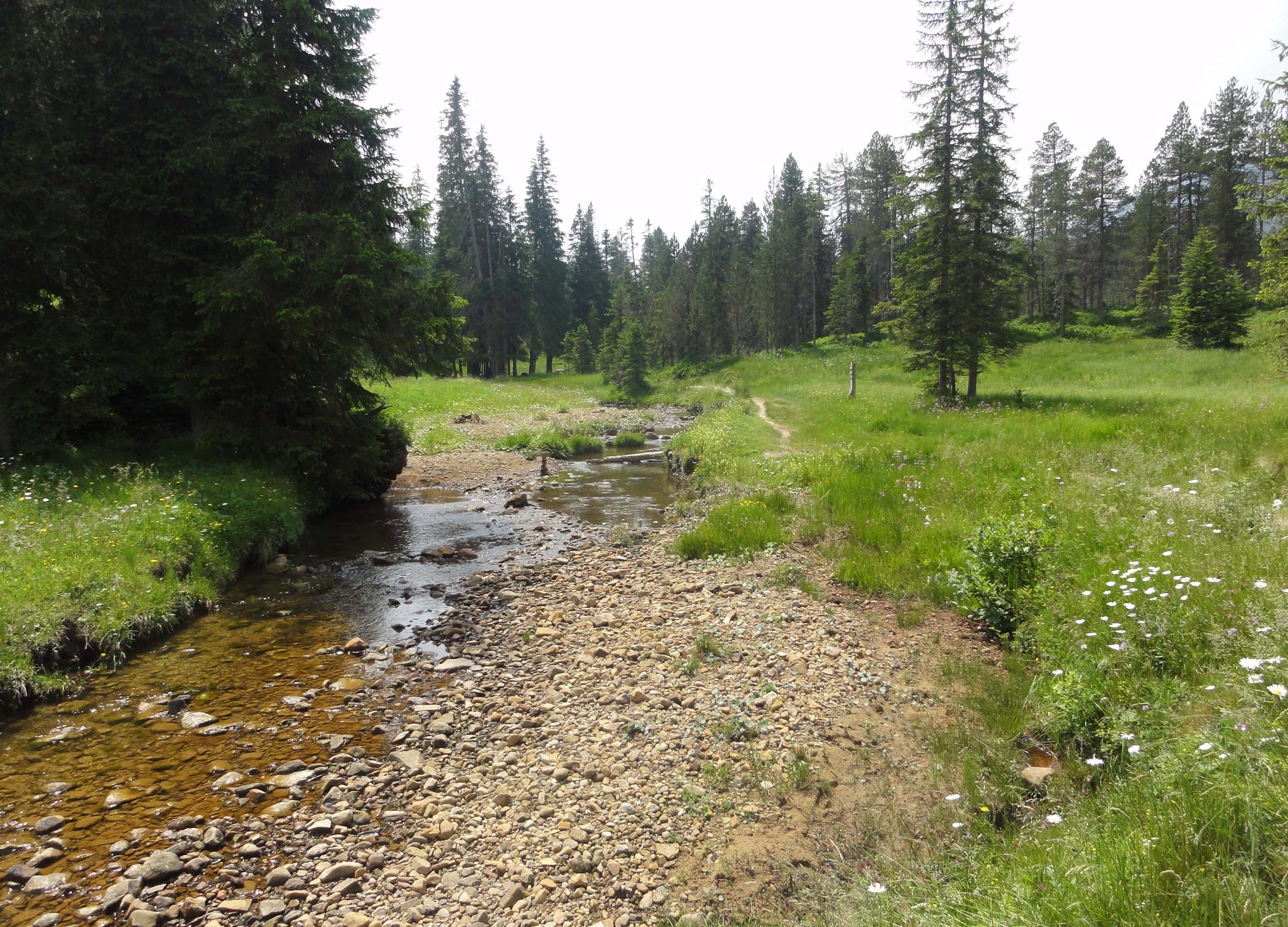 Glaubenberg moorlands | Switzerland Tourism