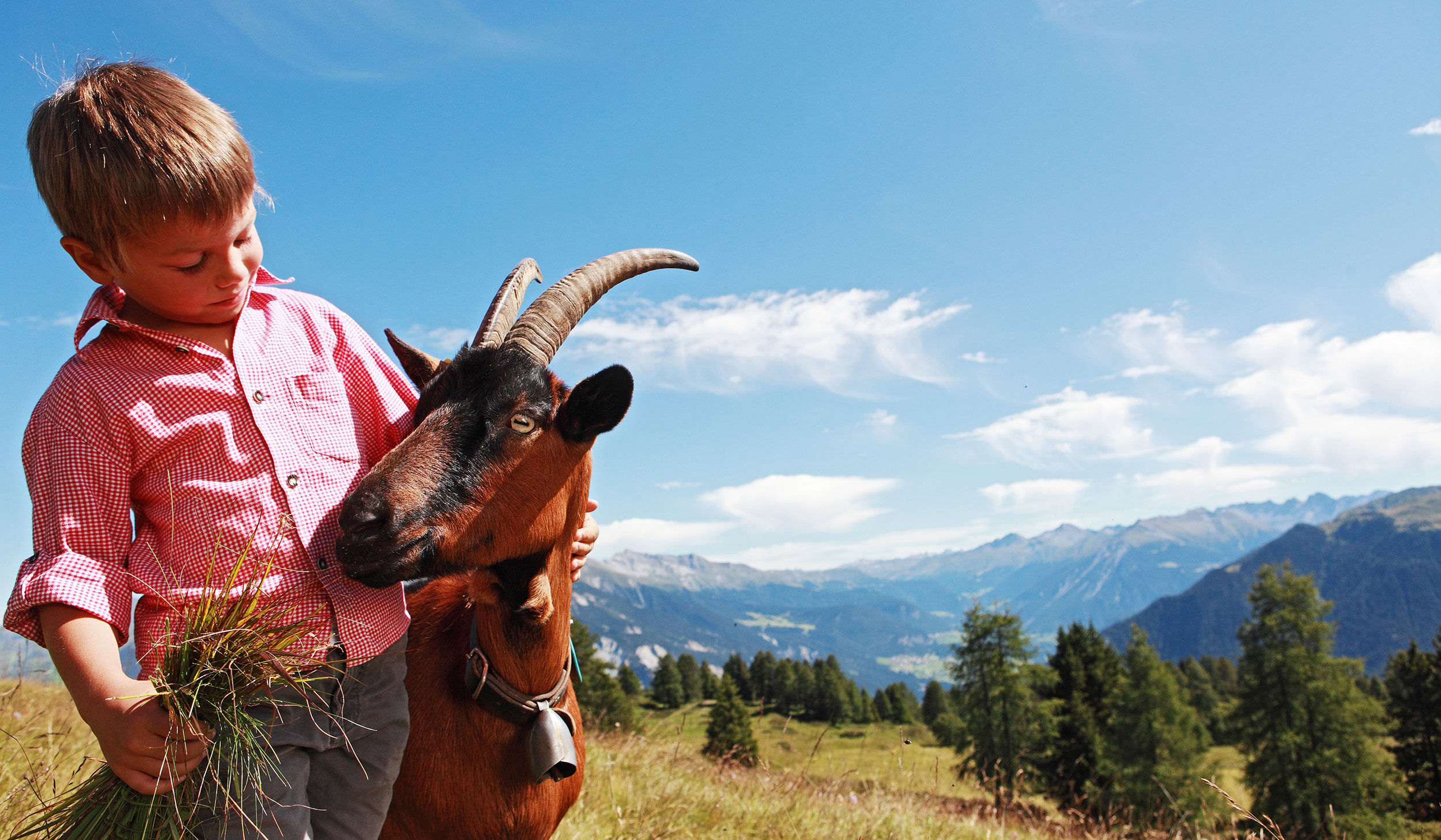 Visitando a Pedro y sus cabras | Suiza Turismo