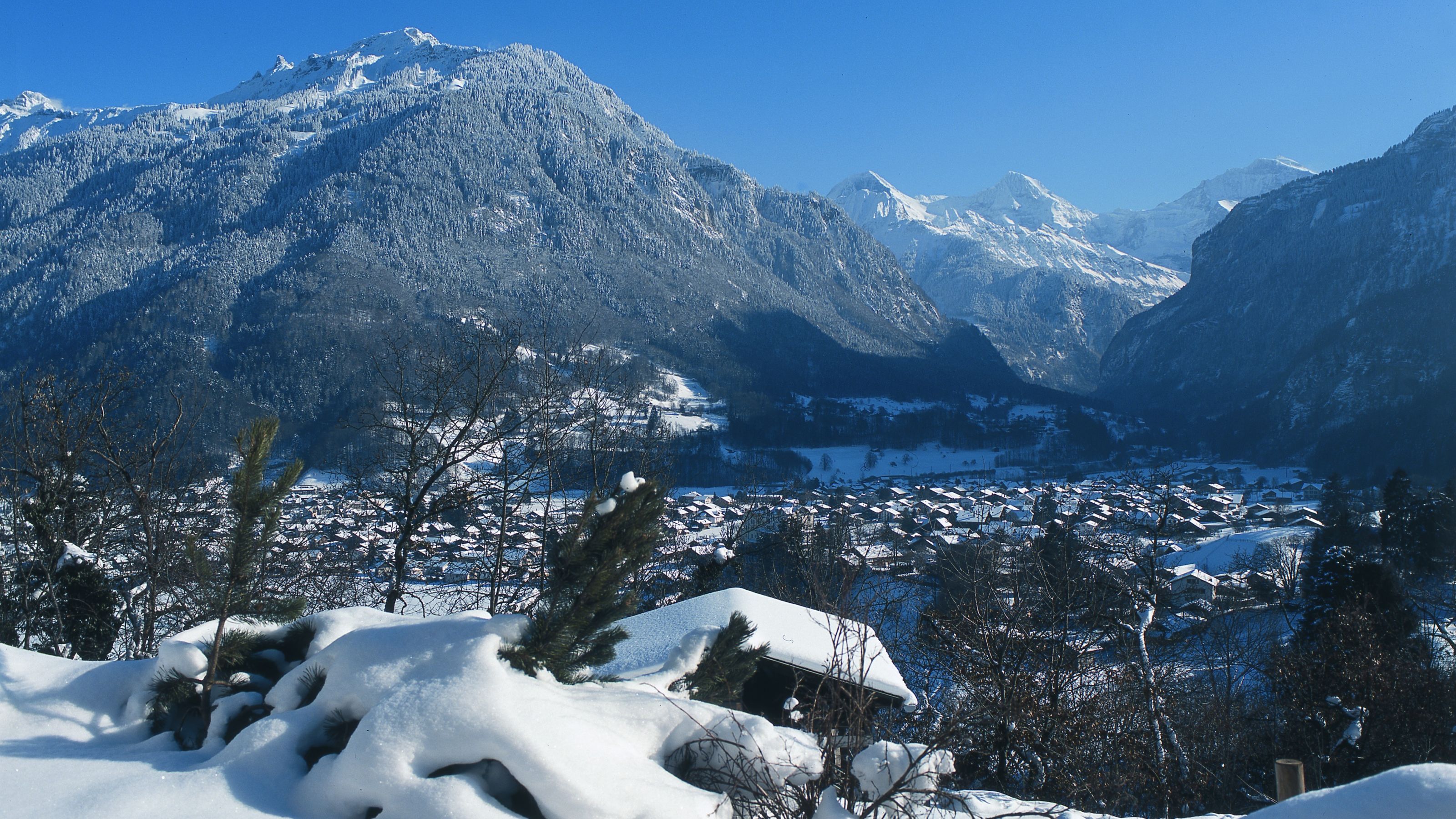 Wilderswil | Switzerland Tourism
