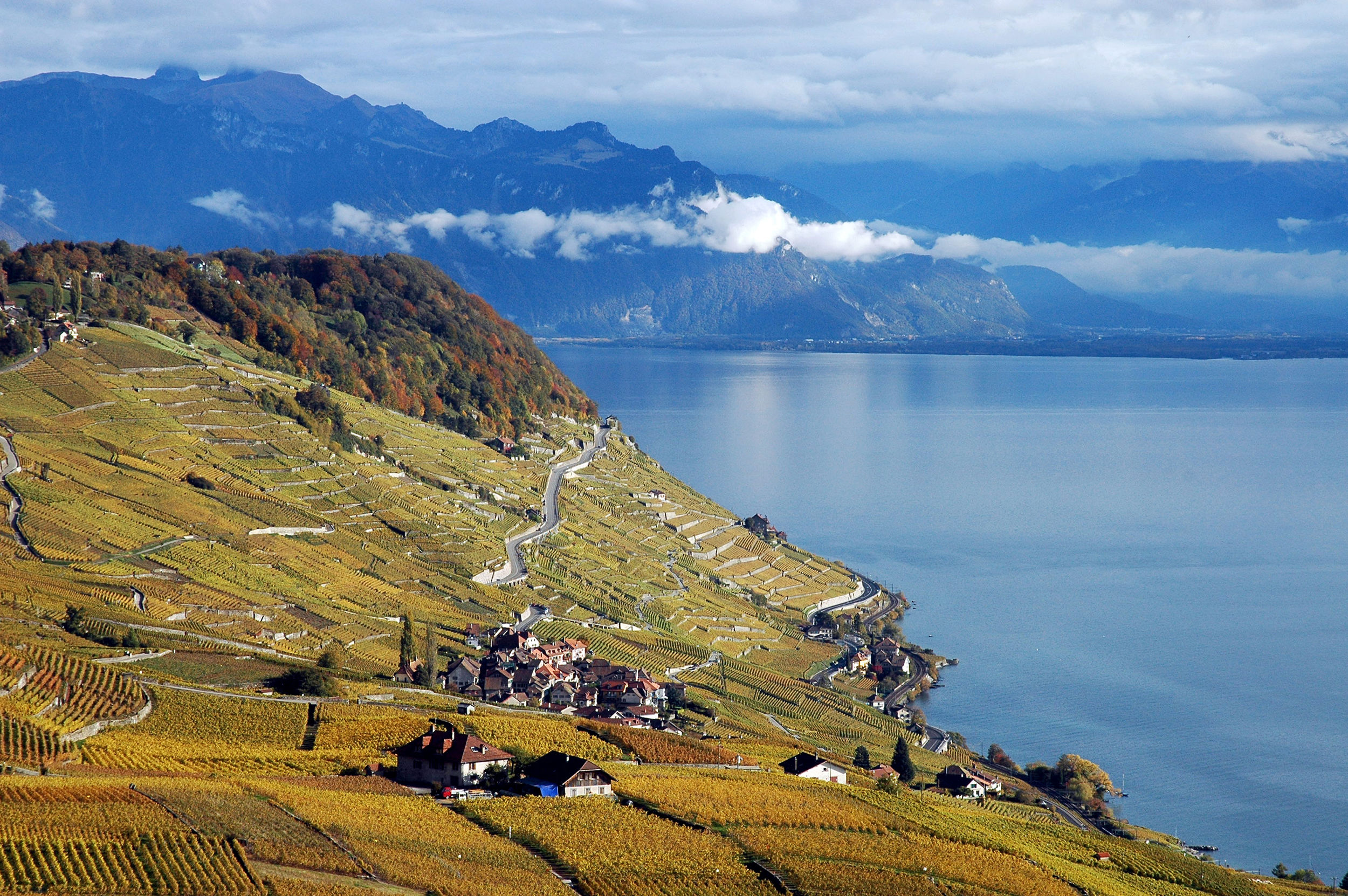 Lavaux, vignobles en terrasse | Suisse Tourisme