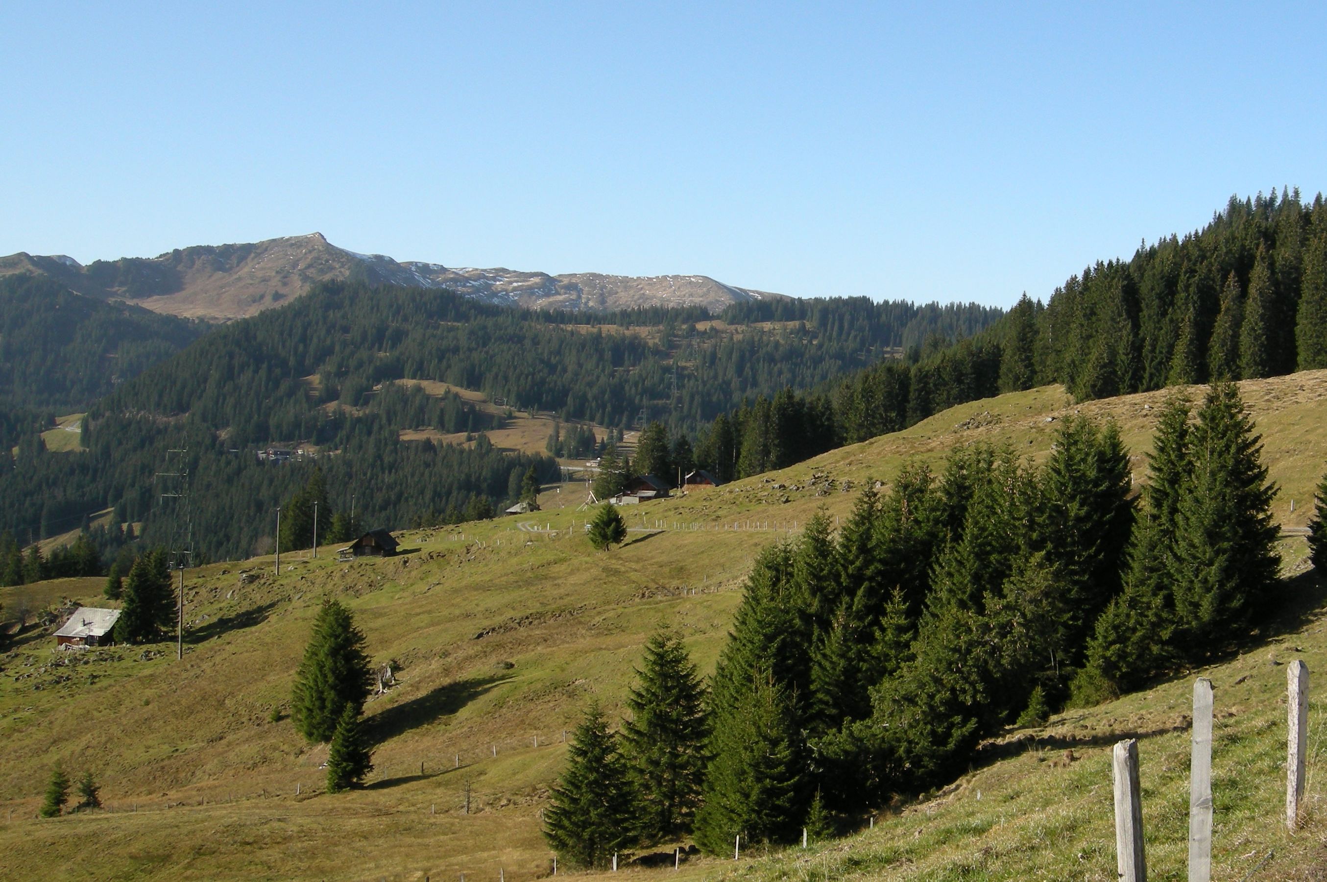 Glaubenberg moorlands | Switzerland Tourism
