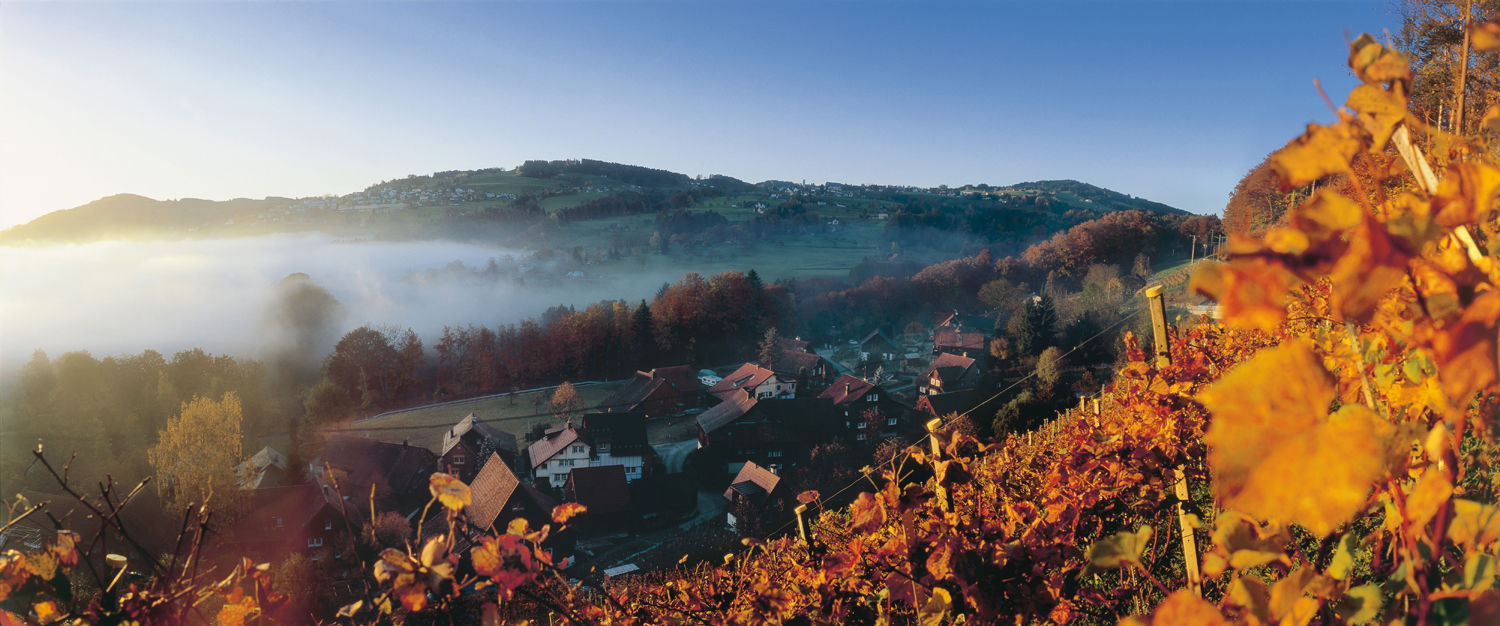 Rorschach | Switzerland Tourism
