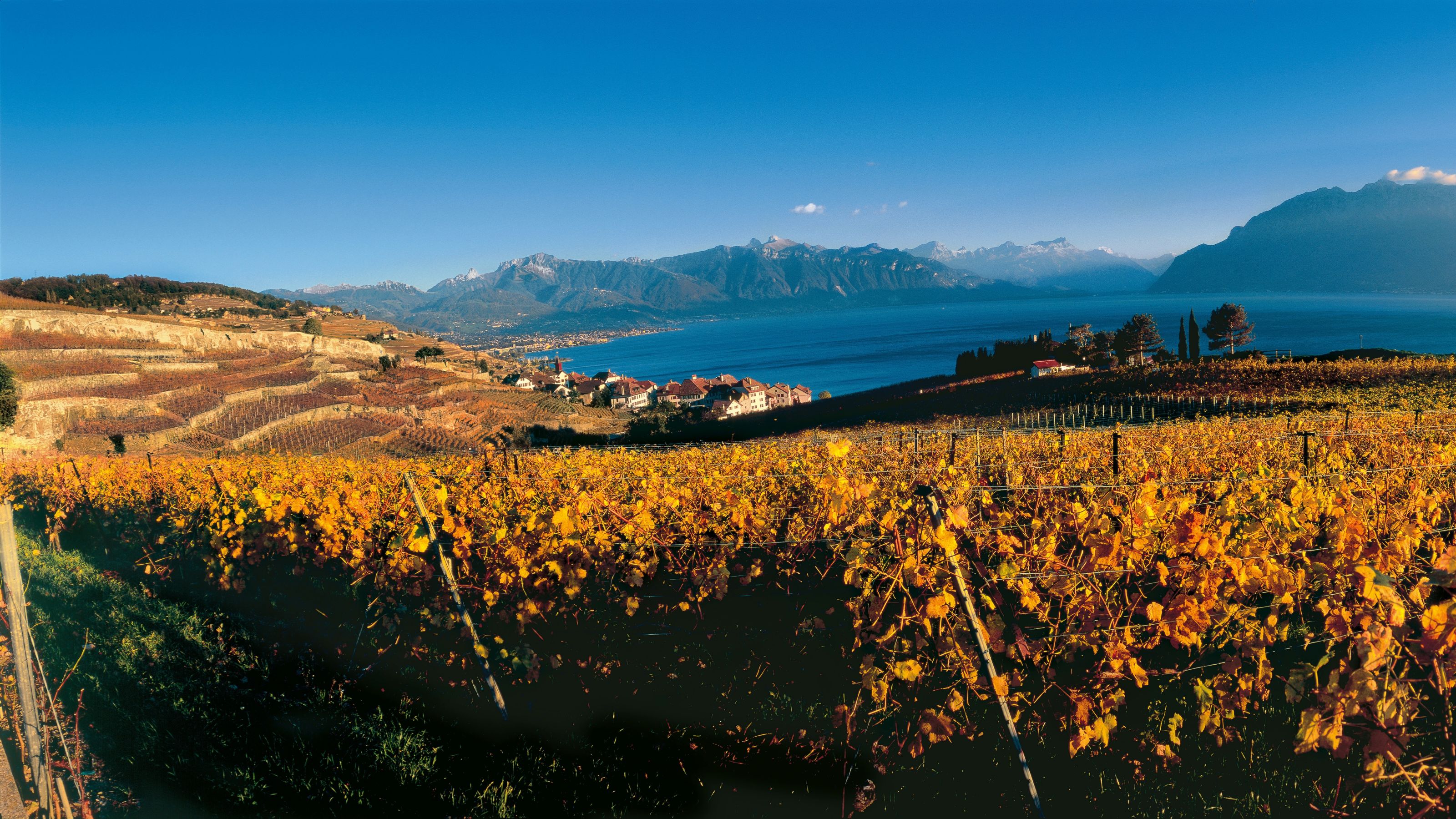 Lavaux Express | Switzerland Tourism