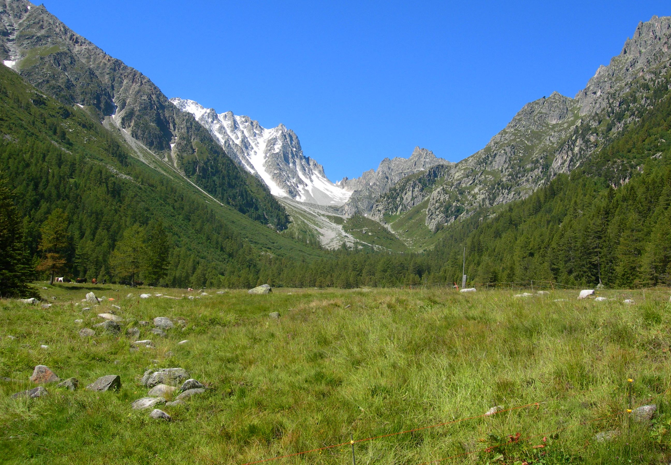 La traversée du col du grand saint-bernard | Suisse Tourisme
