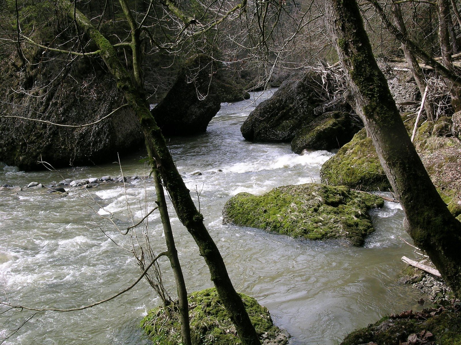 Sihltal - Sihlsprung - Sihlwald | Switzerland Tourism