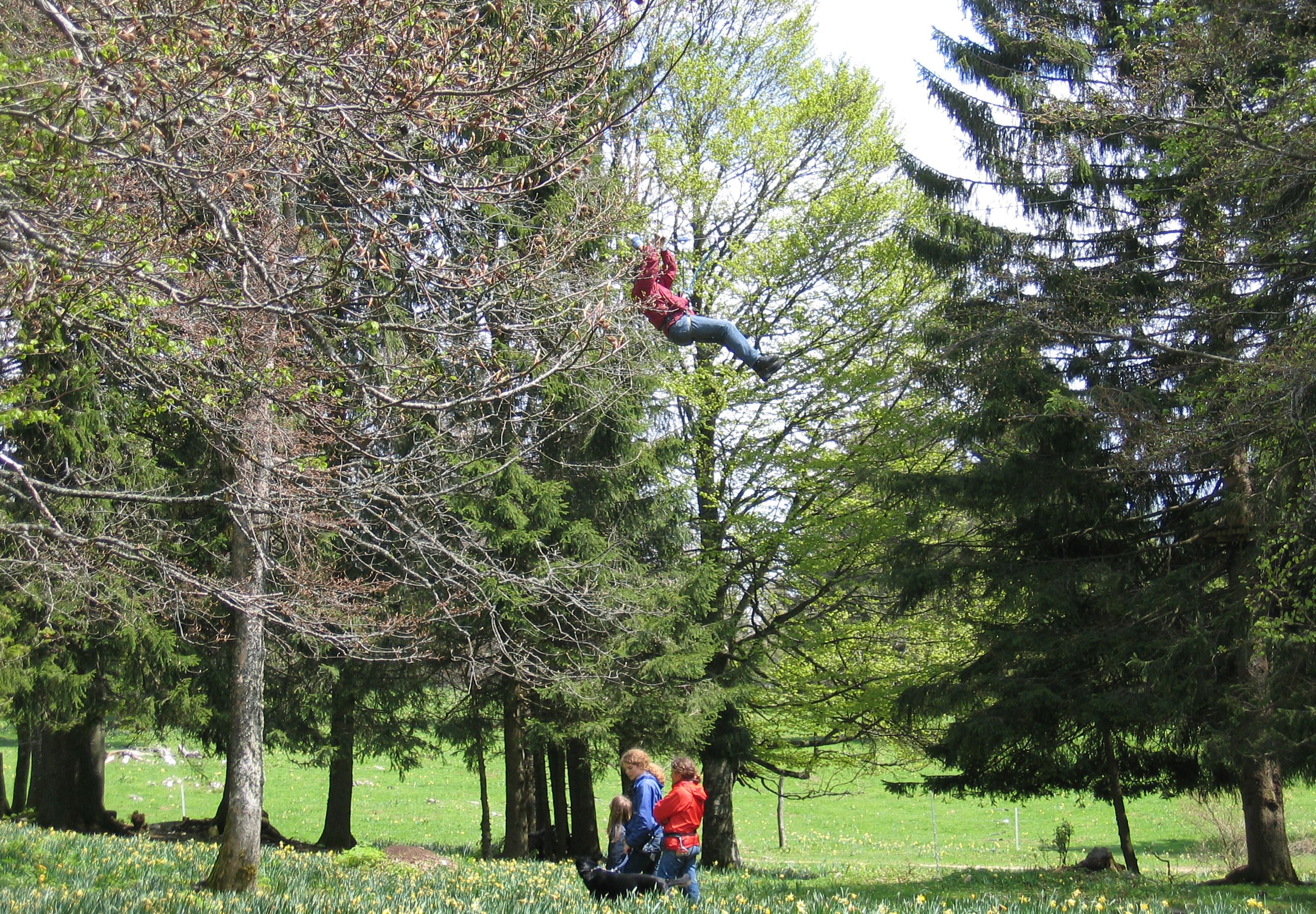 Forest Jump | Switzerland Tourism