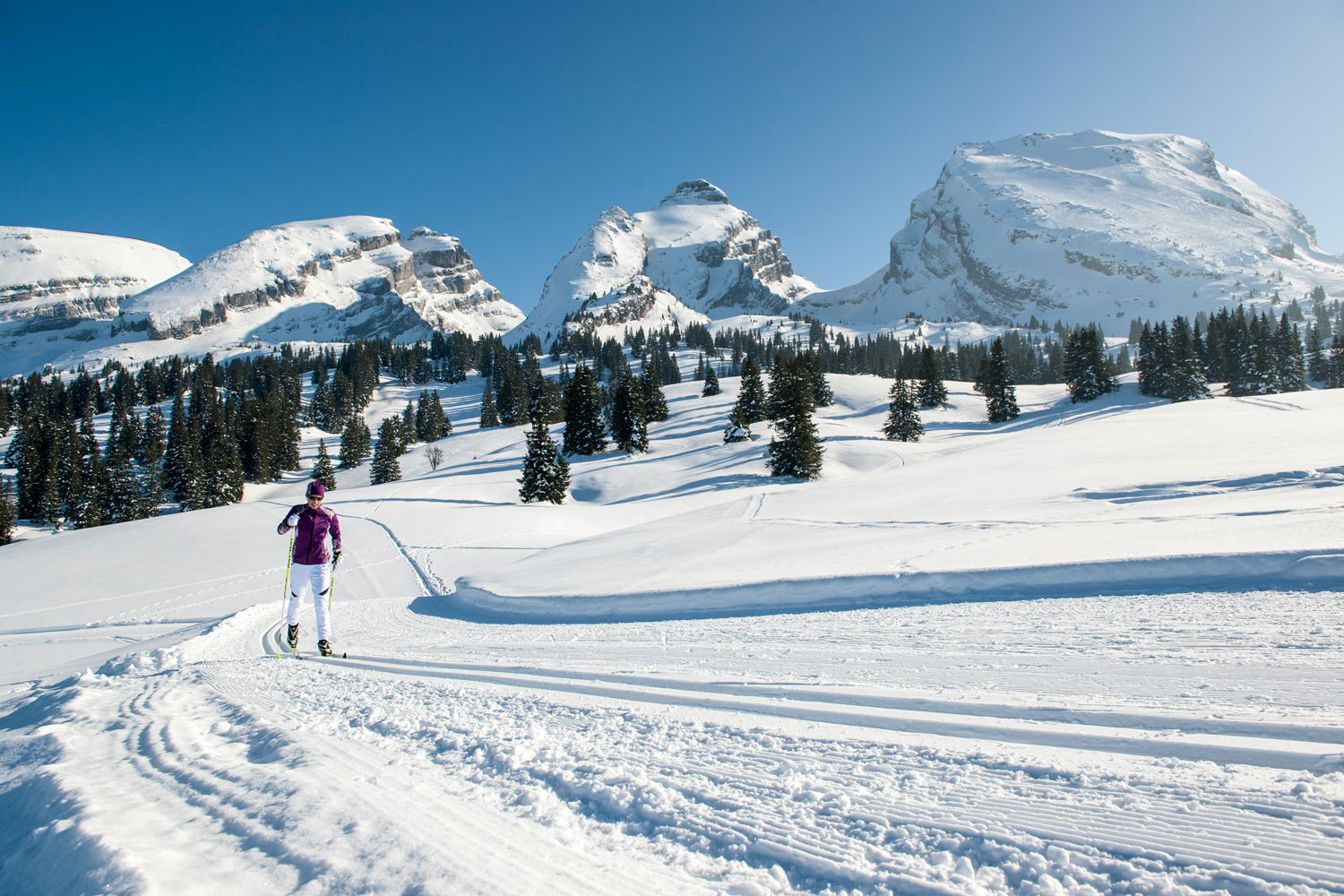 Un impresionante Toggenburg para deportistas nórdicos | Suiza Turismo