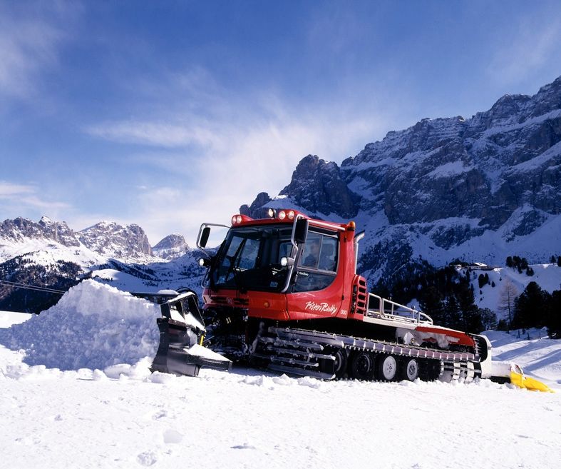 Das Raupenwunder von Feldis | Schweiz Tourismus